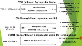 Importancia del laboratorio clínico y hemograma del bovino | PDF