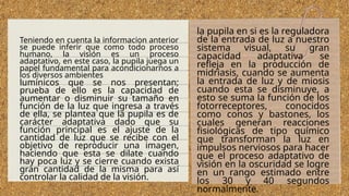 sisteva visual laboratorio universidad p | PPTX
