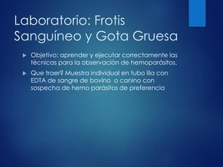 Técnicas de Frotis Sanguíneo y Gota Gruesa para Diagnóstico de ...