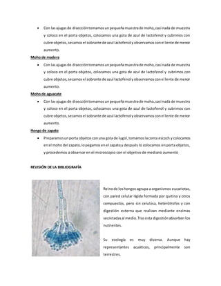 Laboratorio hongos | DOCX