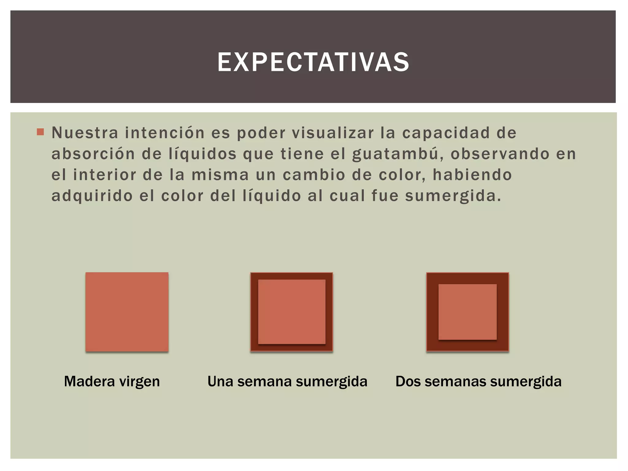 Laboratorio tec. de madera 1: Absorcion y higroscopicidad | PPTX