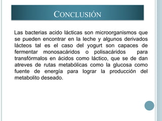 Identificación de bacterias ácido lácticas (BAL) a partir de yogurt | PPTX
