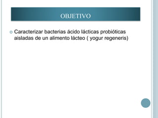 Identificación de bacterias ácido lácticas (BAL) a partir de yogurt | PPTX