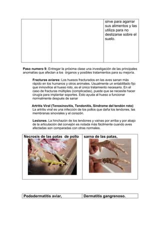 Laboratorio práctico para la indagación de un órgano | DOC
