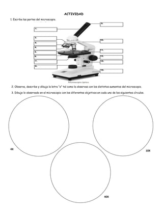 Laboratorio uso de microscopio | PDF