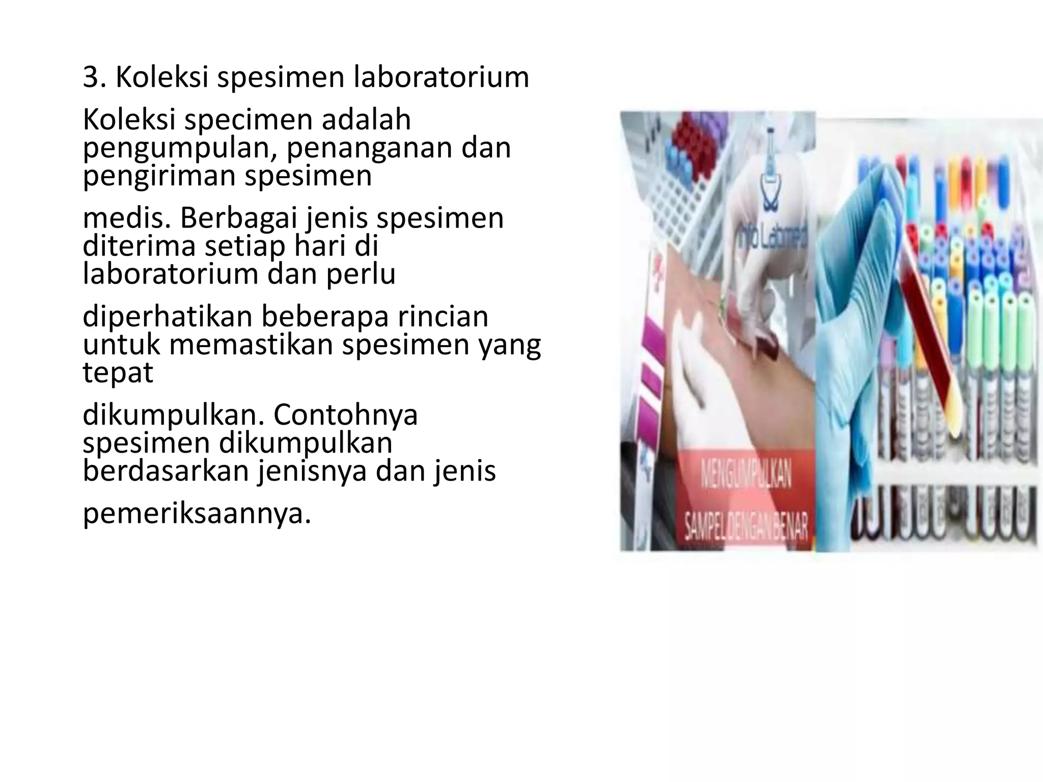 Laboratorium me wps office | PPTX