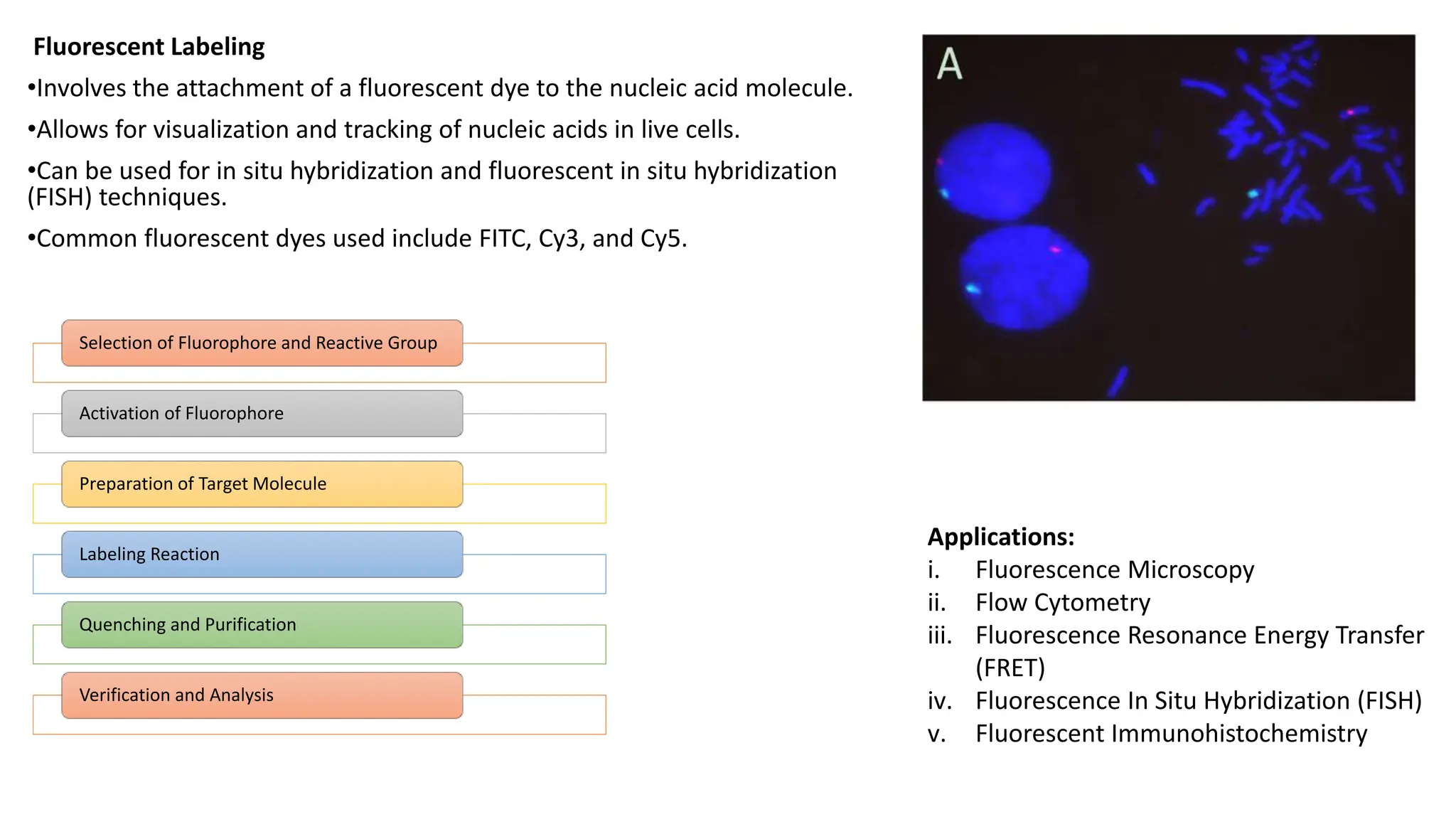 All types of labelling for laboratory techniques | PPTX
