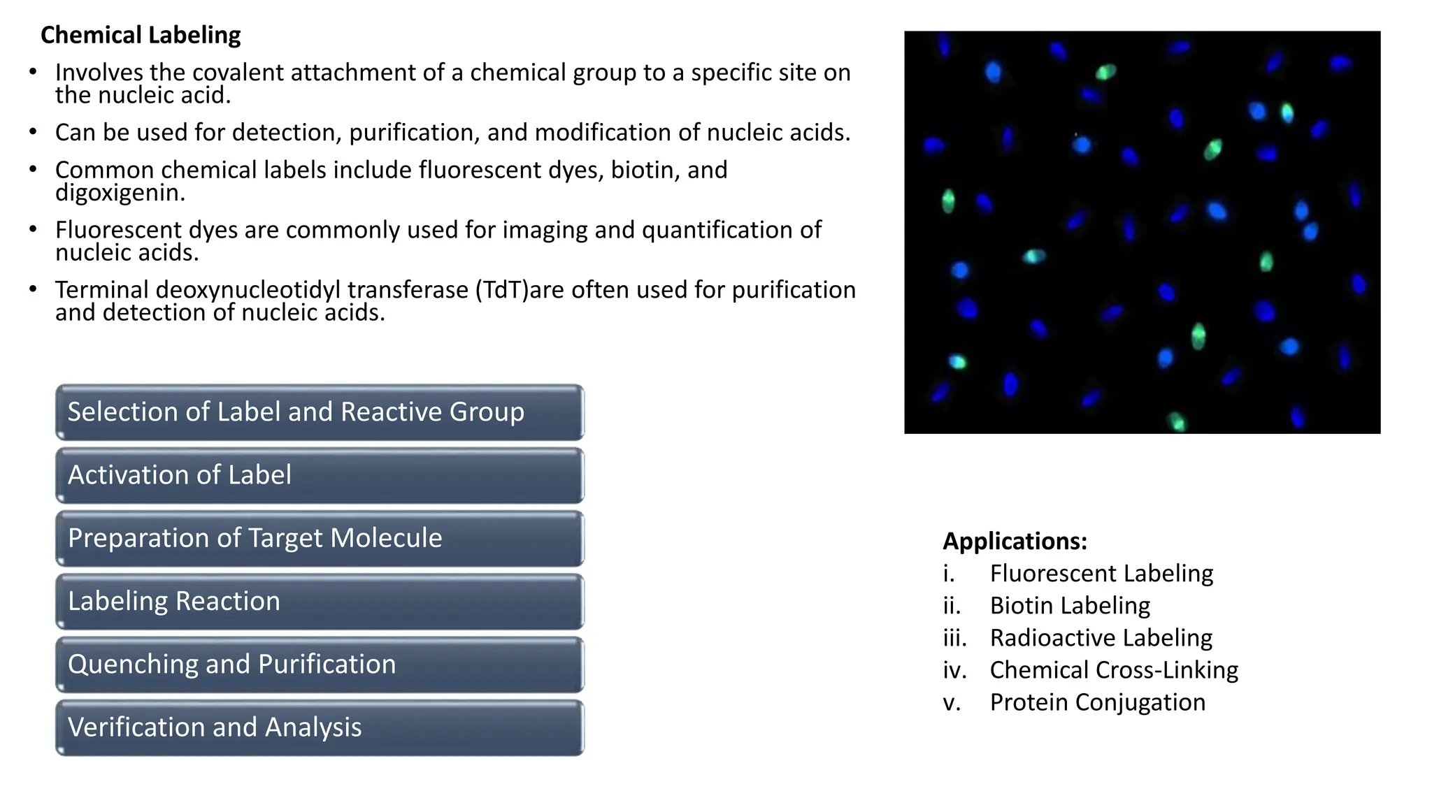 All types of labelling for laboratory techniques | PPTX