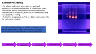 All types of labelling for laboratory techniques | PPTX