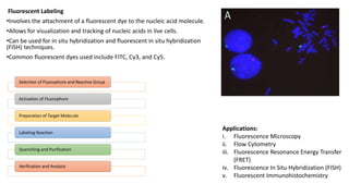 All types of labelling for laboratory techniques | PPTX