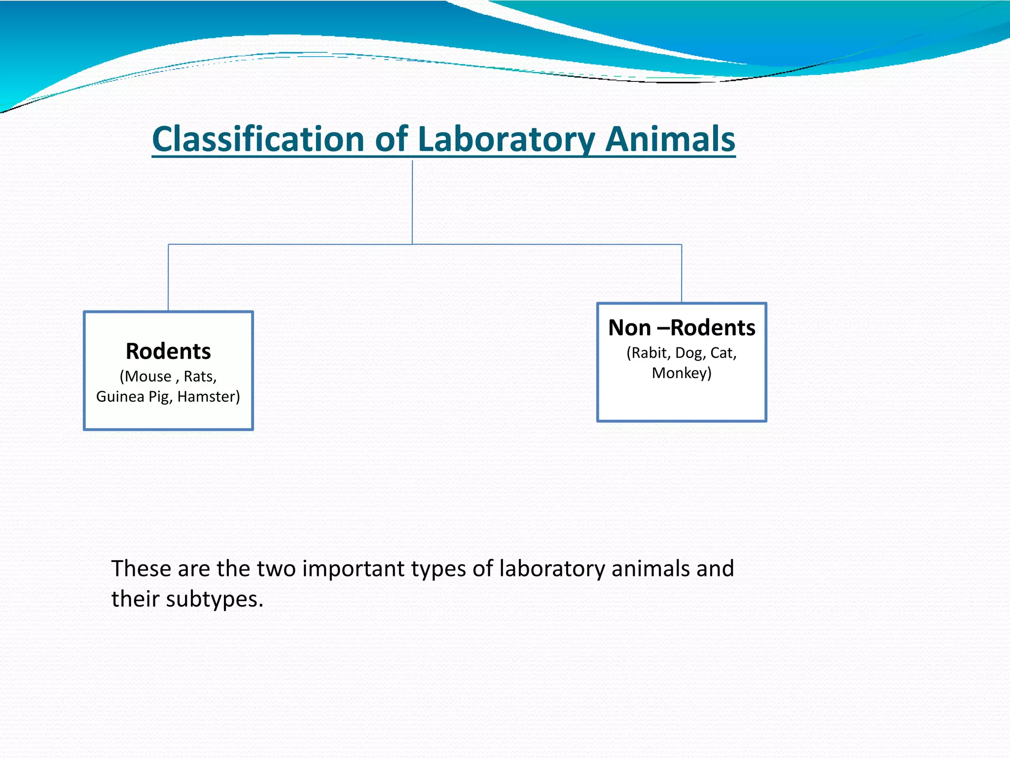 Laboratory-animals PPT-1.pptx