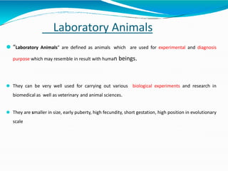 Laboratory-animals PPT-1.pptx