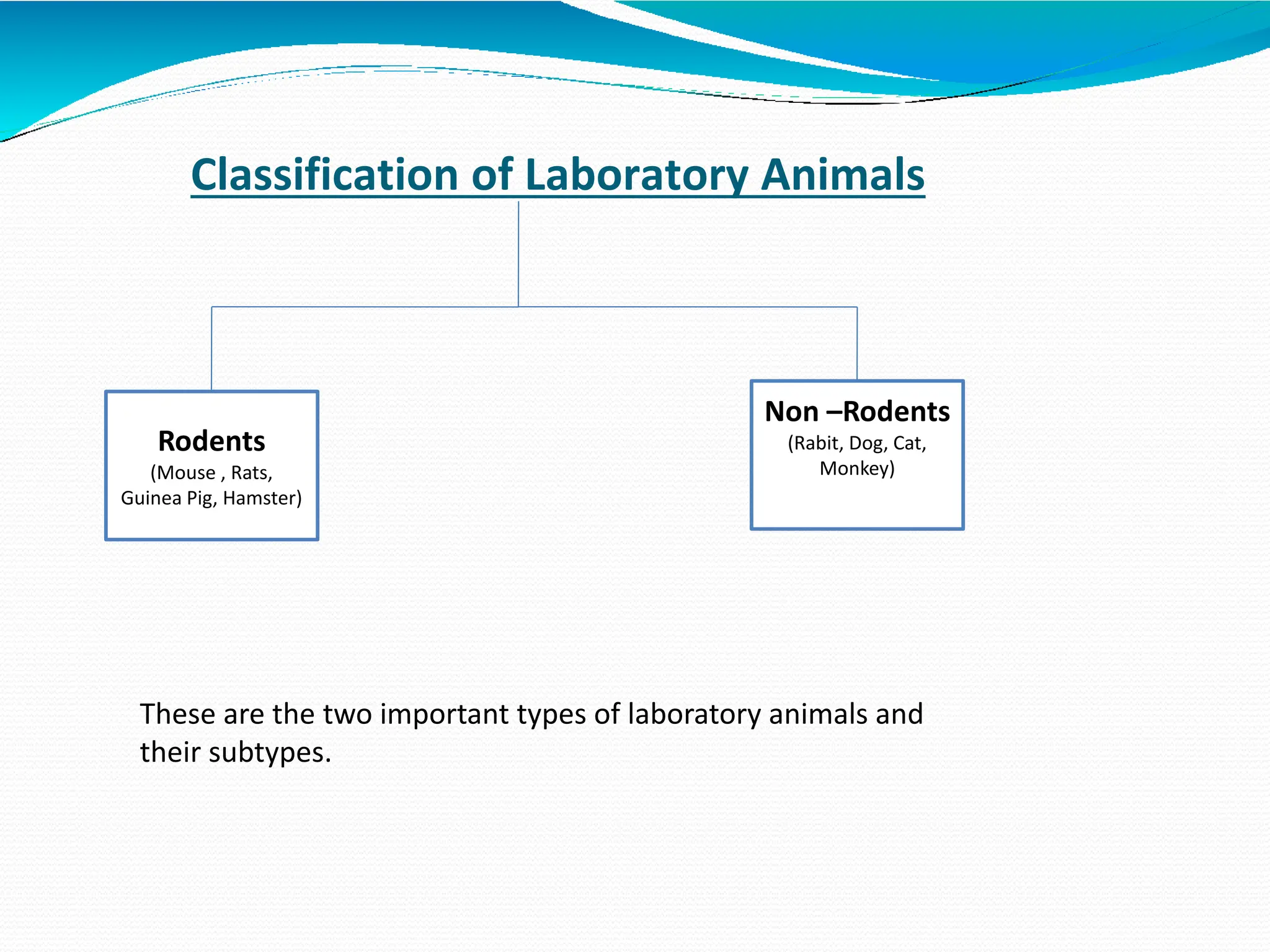 Laboratory-animals PPT-1.pptx