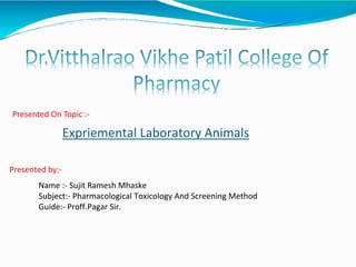 Laboratory-animals PPT-1.pptx