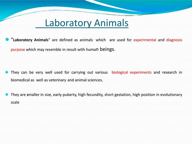 Laboratory-animals PPT-1.pptx