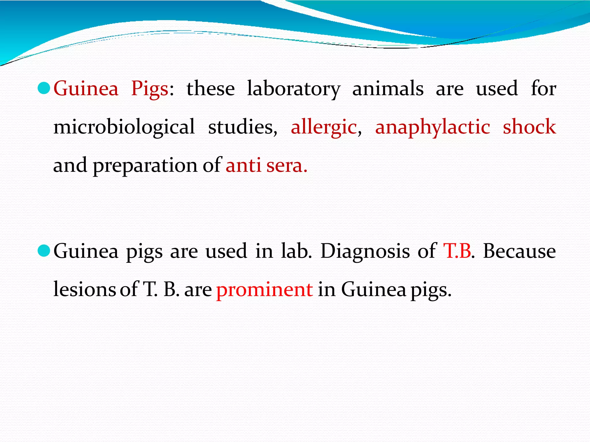 Laboratory-animals PPT.pptx