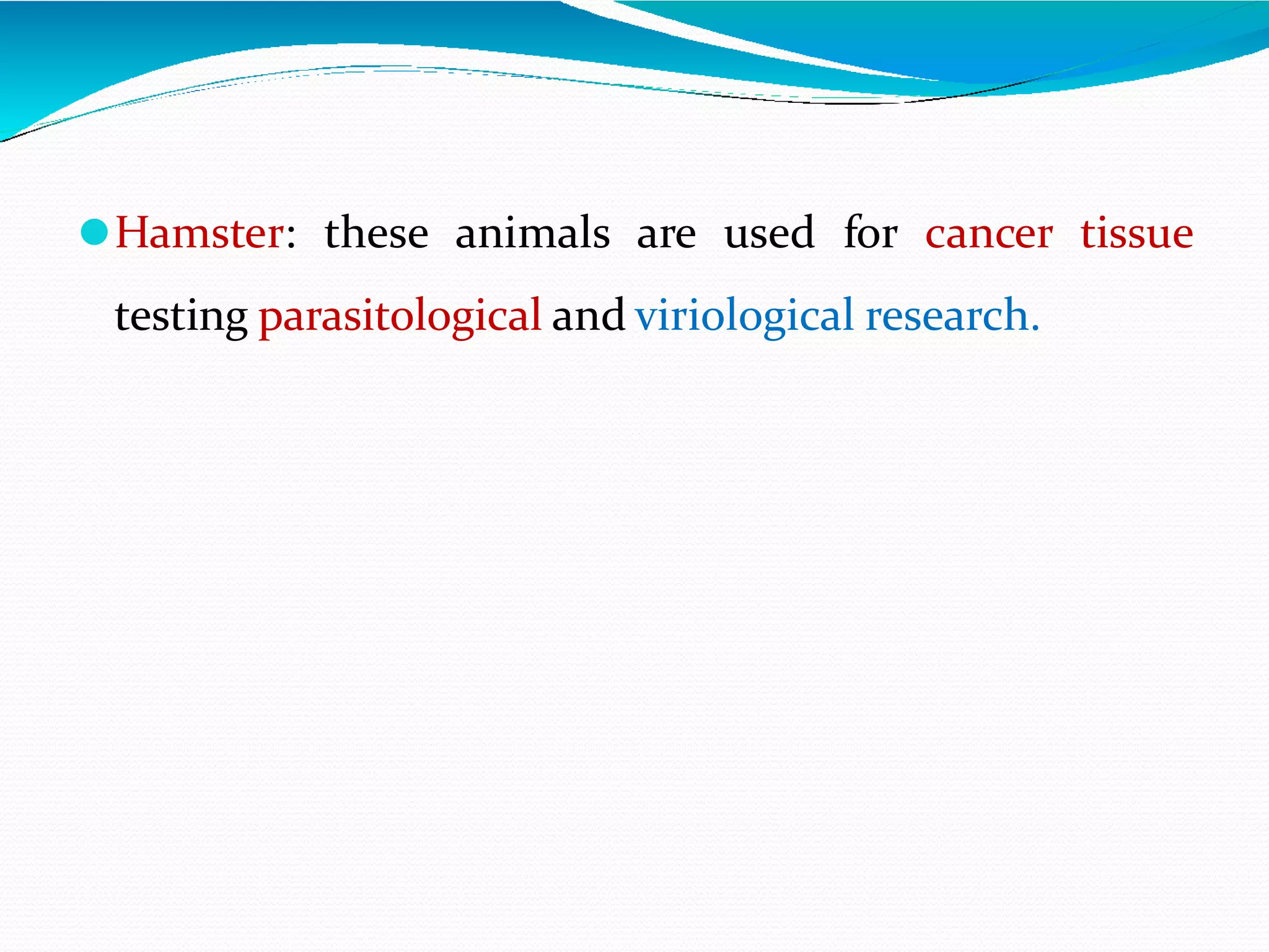 Laboratory-animals PPT.pptx