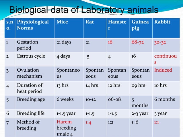 Laboratory-animals PPT.pptx | Biological Sciences | Science