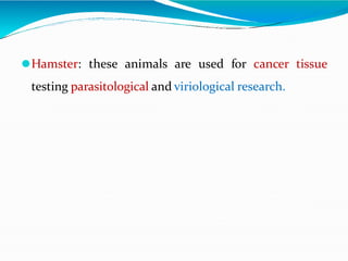 Laboratory-animals PPT.pptx