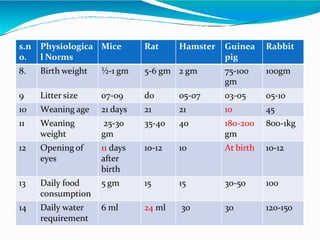 Laboratory-animals PPT.pptx