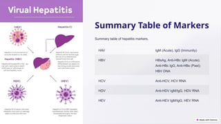 Laboratory-Diagnosis-and-Interpretation-of-Viral-Hepatitis-Markers.pptx