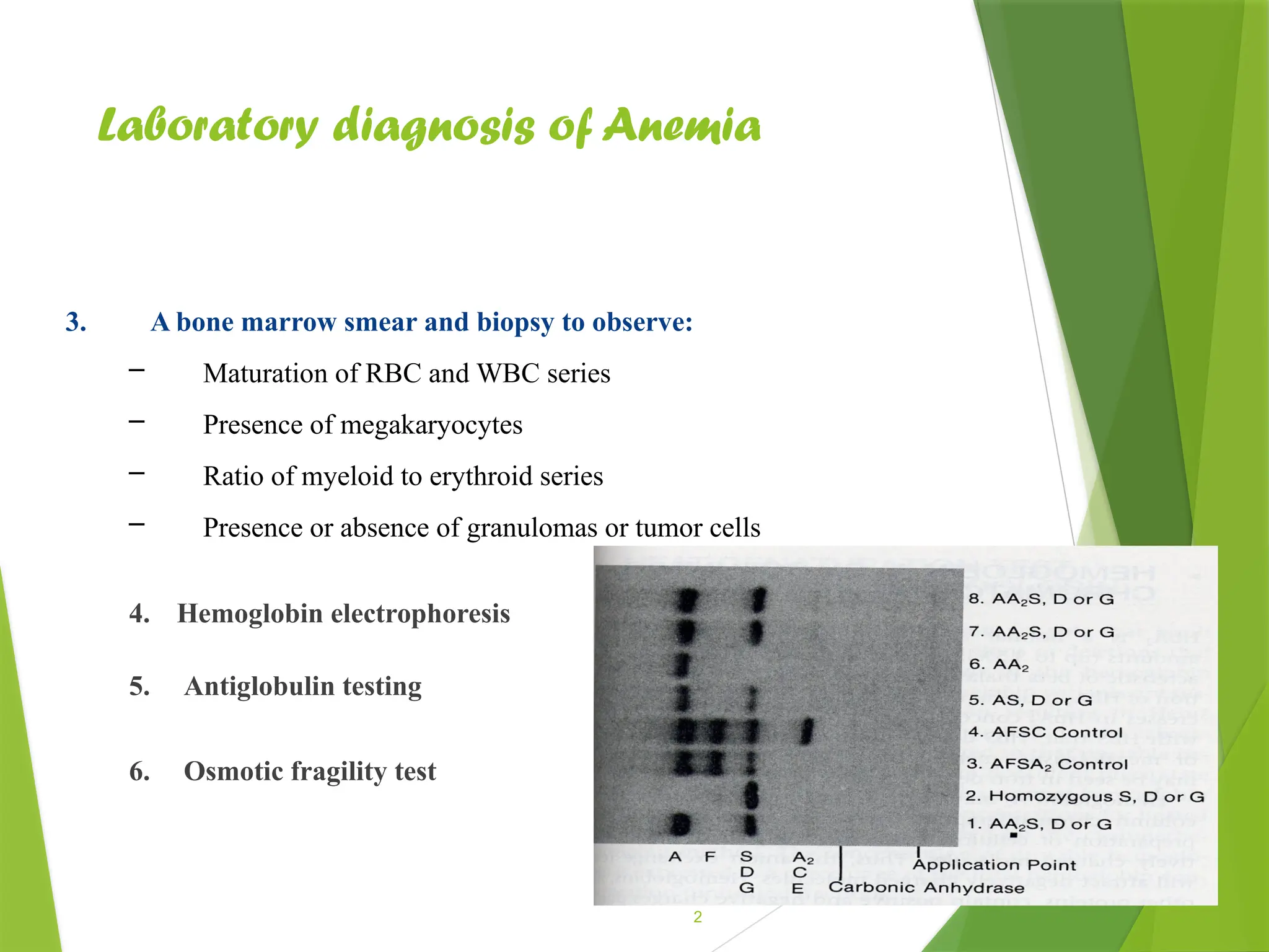 Laboratory-diagnosis-of-anemia and bone marrow.pptx