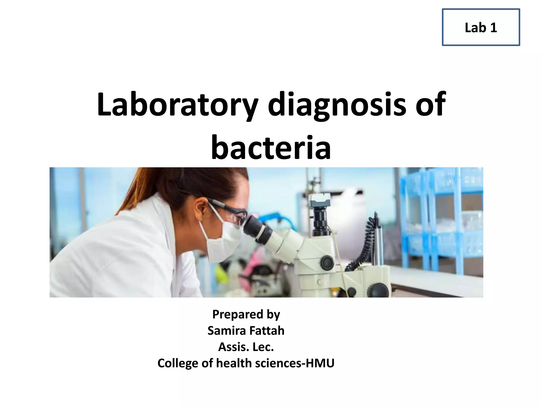 Laboratory diagnosis of bacteria | PPTX