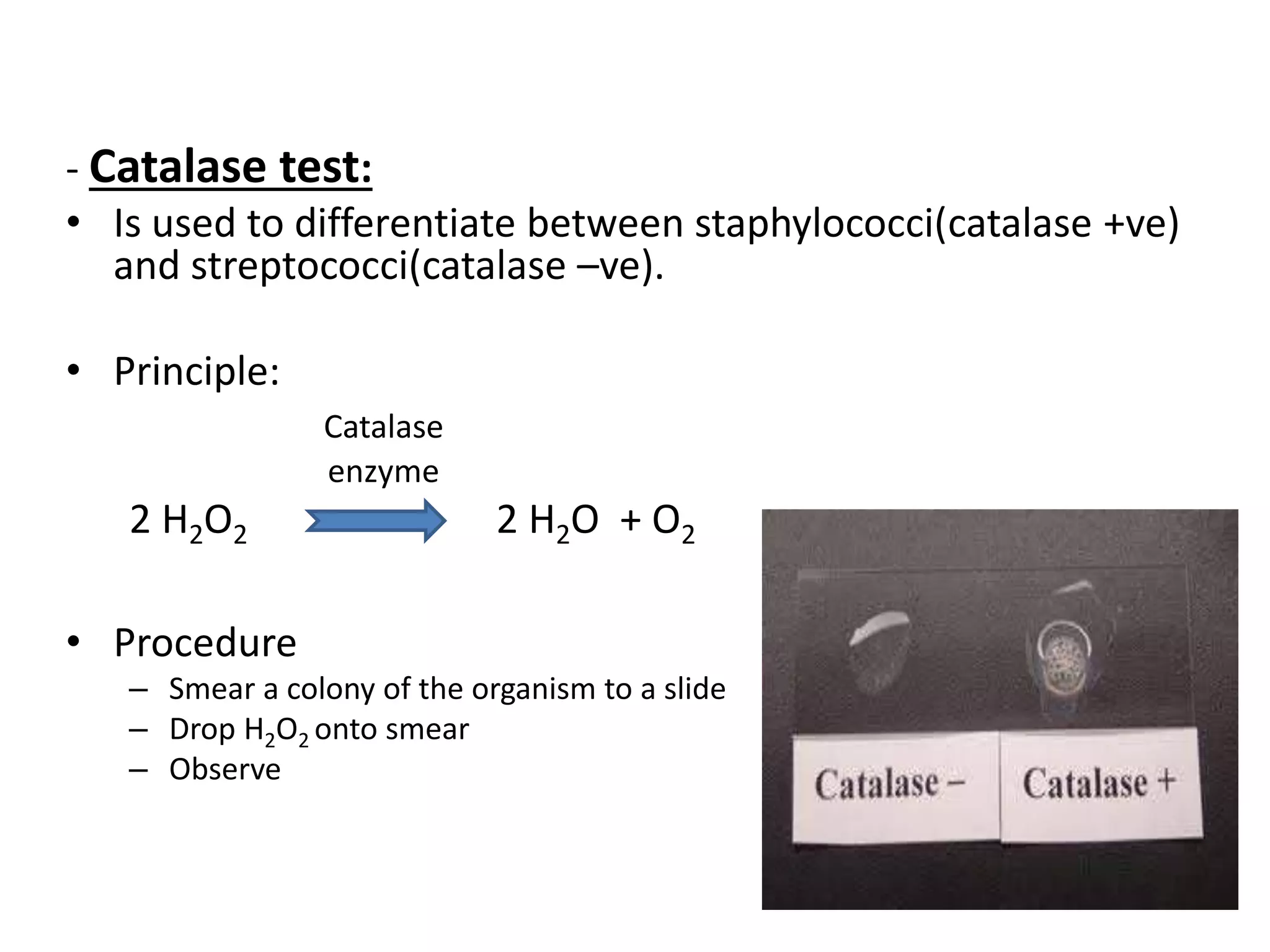 Laboratory diagnosis of bacteria | PPTX