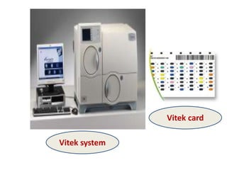 Laboratory diagnosis of bacteria | PPTX
