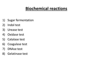 Laboratory diagnosis of bacteria | PPTX
