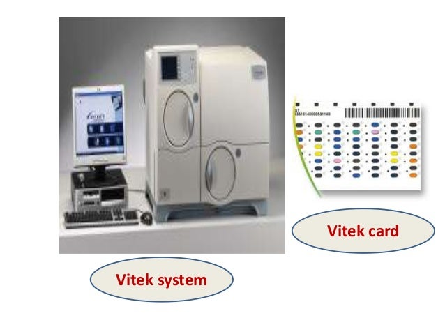 Laboratory diagnosis of bacteria