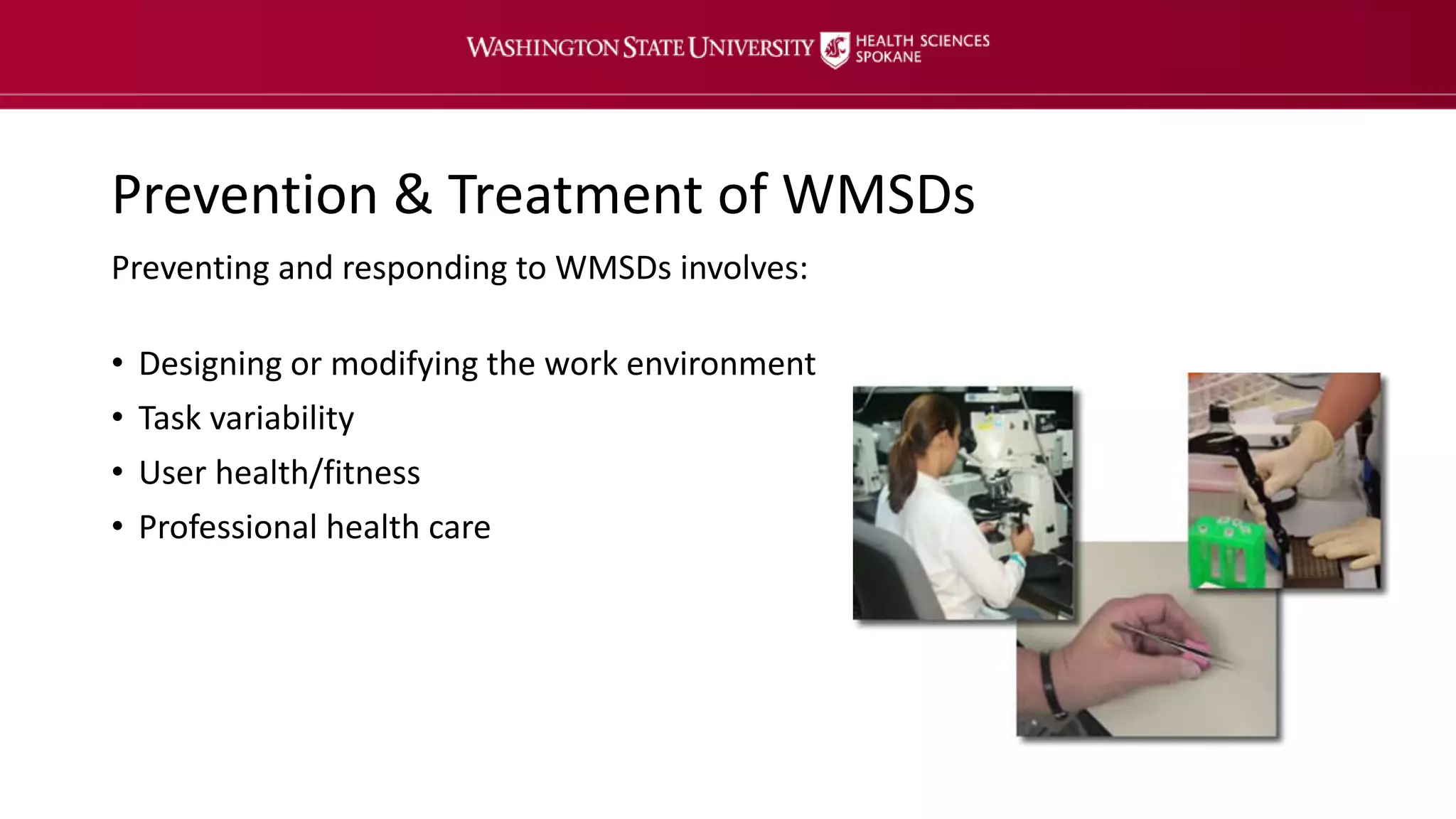 laboratory-ergonomics-training.pptx