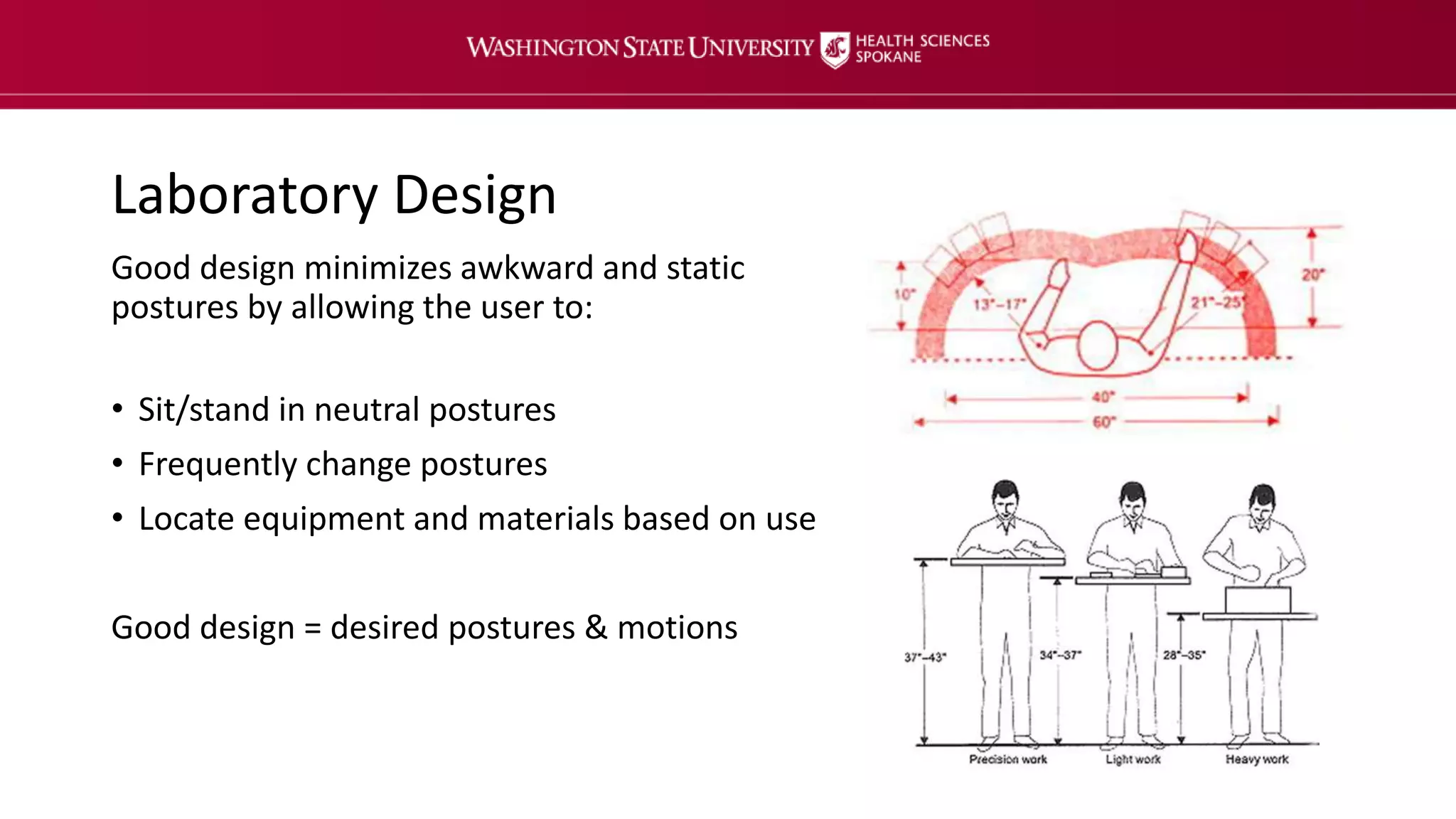 laboratory-ergonomics-training.pptx