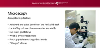 laboratory-ergonomics-training.pptx