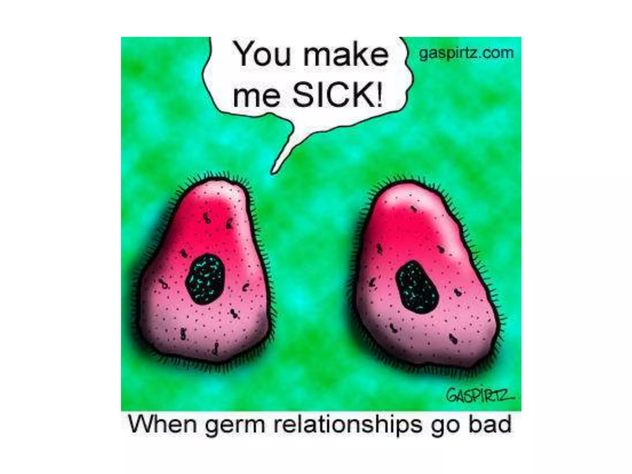 Laboratory identification-of-clinically-significant-bacteria | PPTX