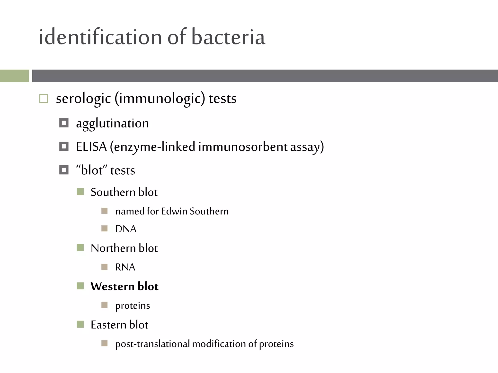 Laboratory identification-of-clinically-significant-bacteria | PPTX
