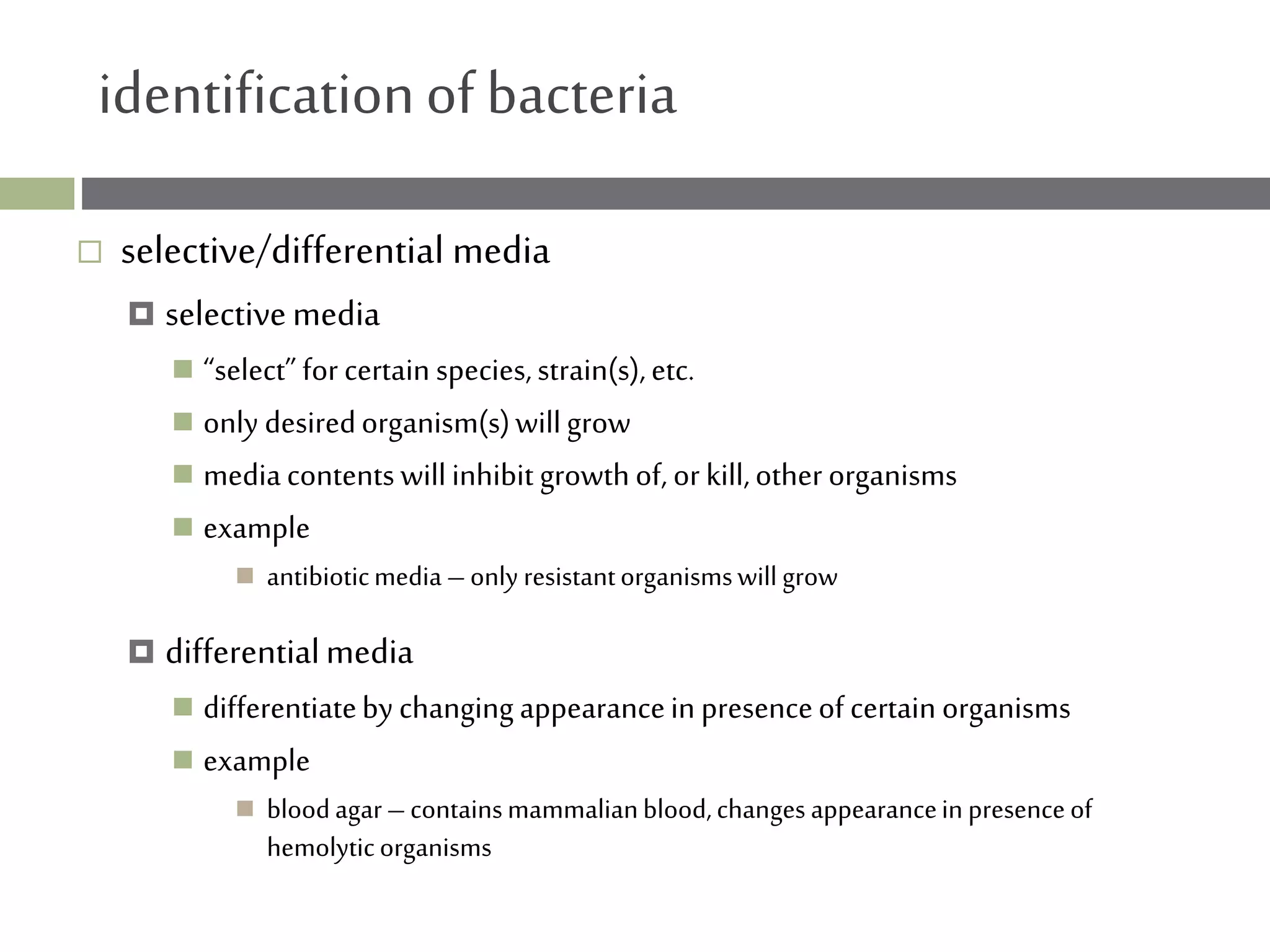 Laboratory identification-of-clinically-significant-bacteria | PPTX