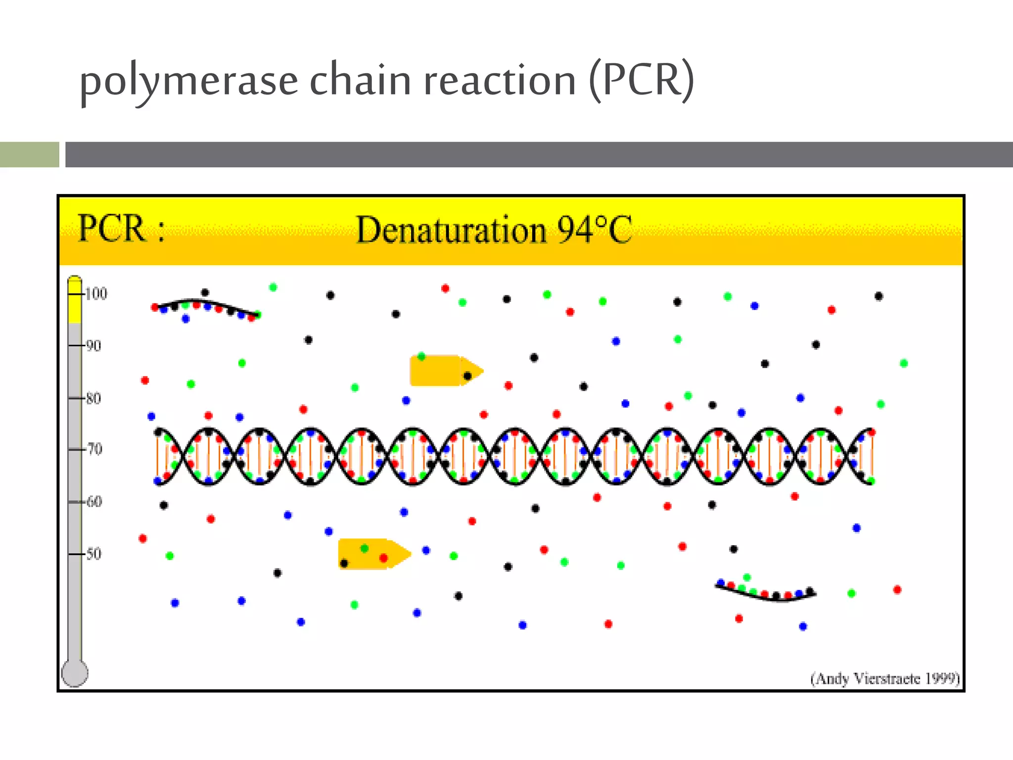 Laboratory identification-of-clinically-significant-bacteria | PPTX