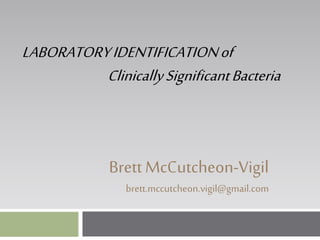 Laboratory identification-of-clinically-significant-bacteria | PPT
