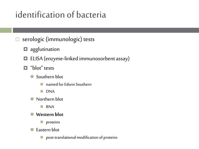 Laboratory identification-of-clinically-significant-bacteria | PPTX ...