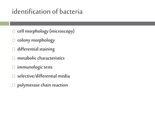 Laboratory identification-of-clinically-significant-bacteria | PPTX