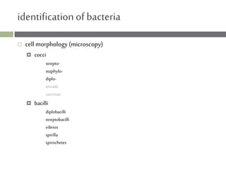 Laboratory identification-of-clinically-significant-bacteria | PPTX