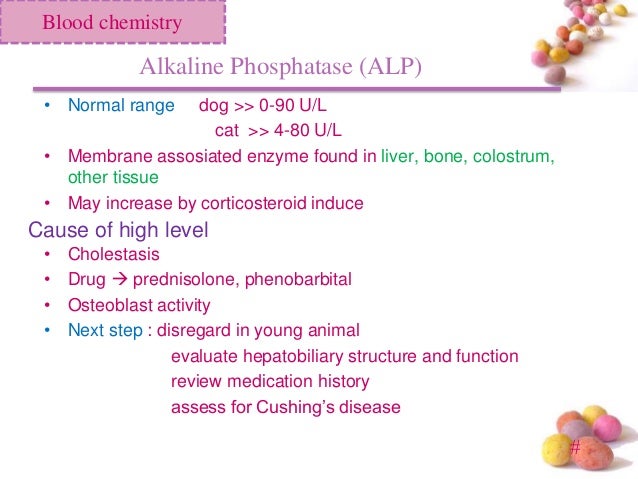 Laboratory Interpretation K K