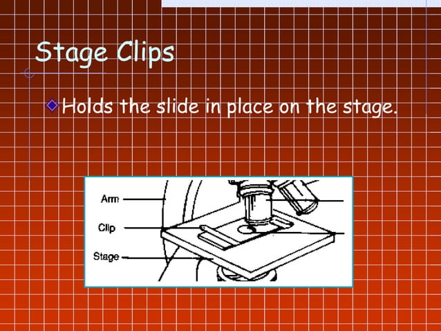 Laboratory lecture on microscope use.ppt