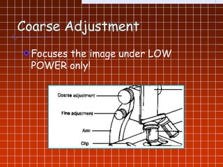Laboratory lecture on microscope use.ppt