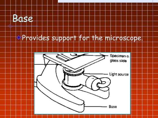 Laboratory lecture on microscope use.ppt