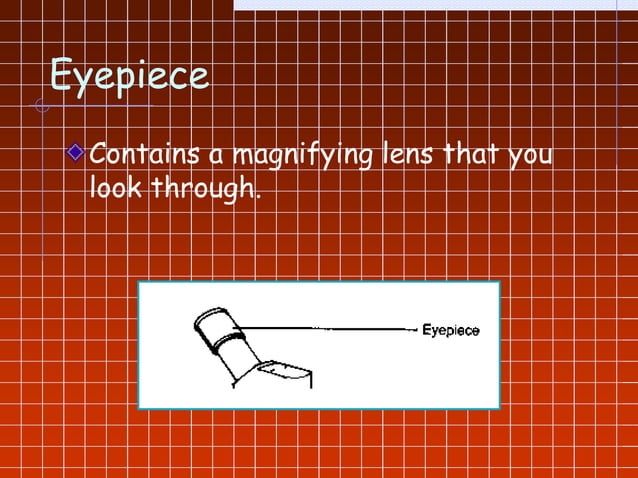 Laboratory lecture on microscope use.ppt