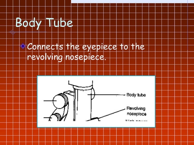 Laboratory lecture on microscope use.ppt