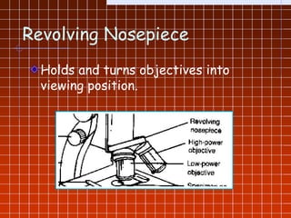 Laboratory lecture on microscope use.ppt