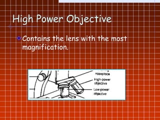 Laboratory lecture on microscope use.ppt